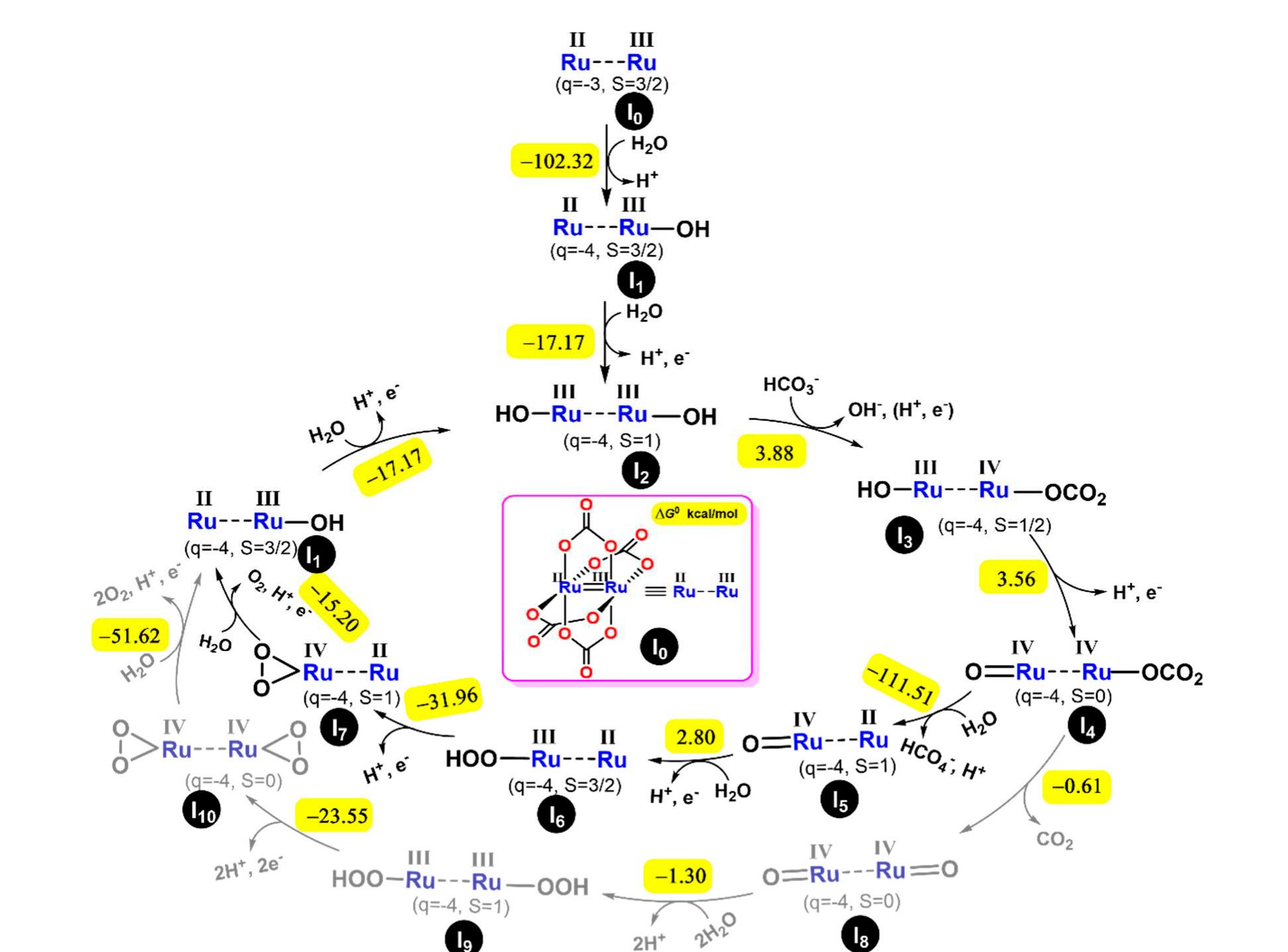 Schematic mechanism of the electrocatalytic water oxidation