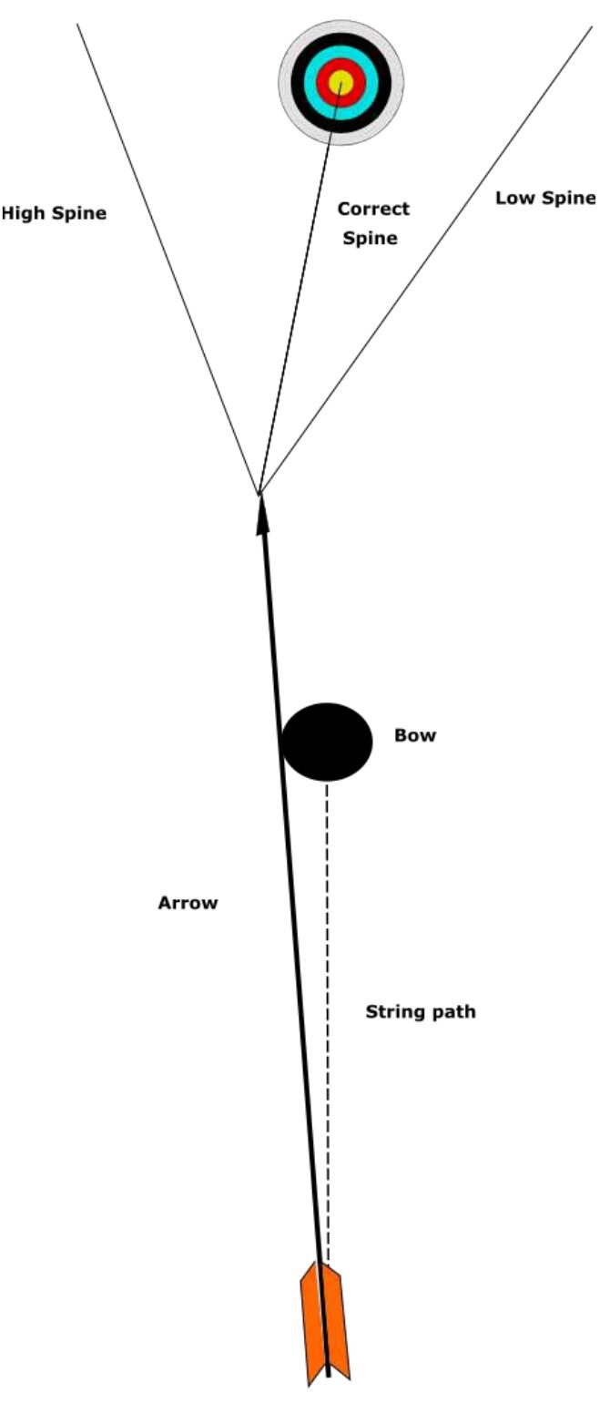 Illustration of archer's paradox in plan view. illustration