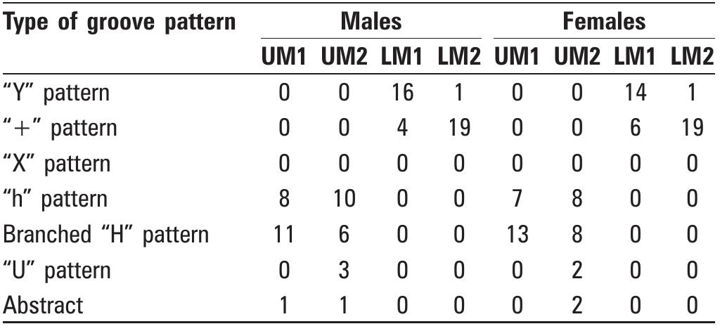 Um: upper molar, lm: lower molar table 2: distribution of