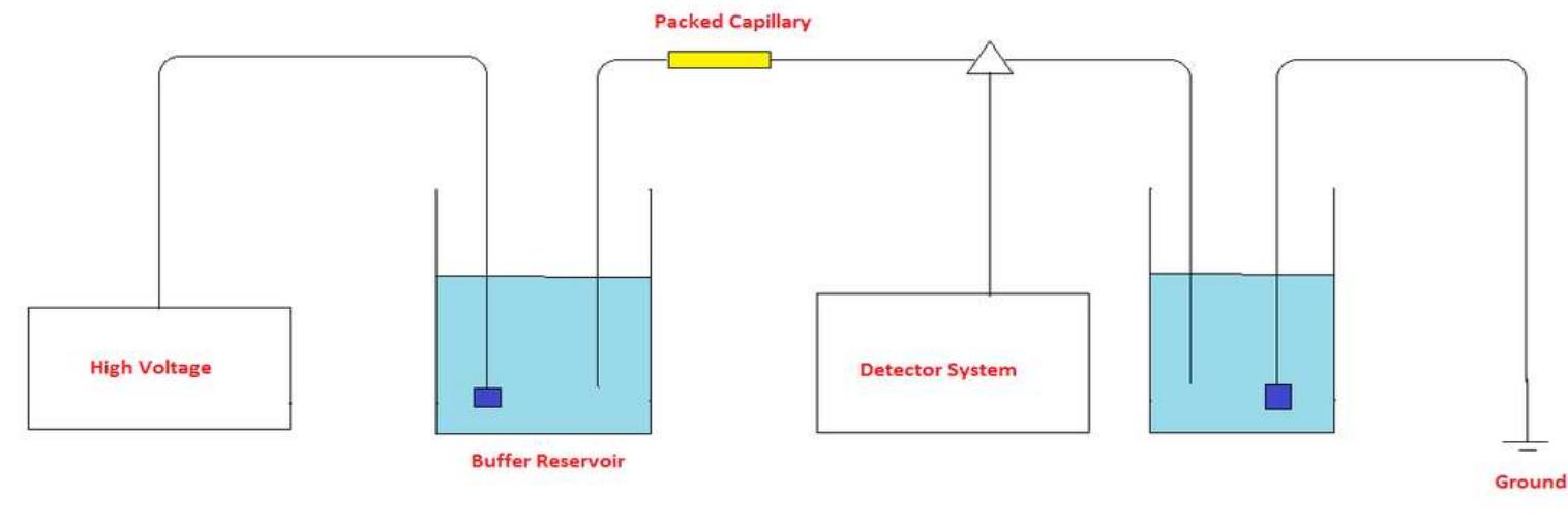 Figure 6 - AN OVERVIEW OF CAPILLARY ELECTROPHORESIS