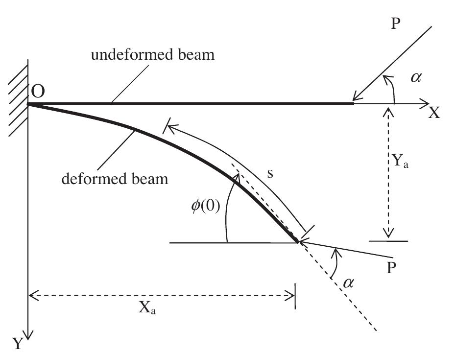 Figure 2 - Large deflections of a cantilever beam under an
