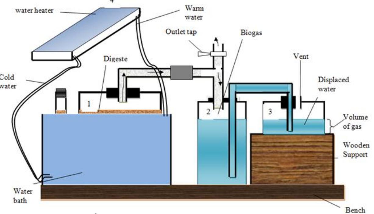 Designed laboratory- scale biogas system with the digester
