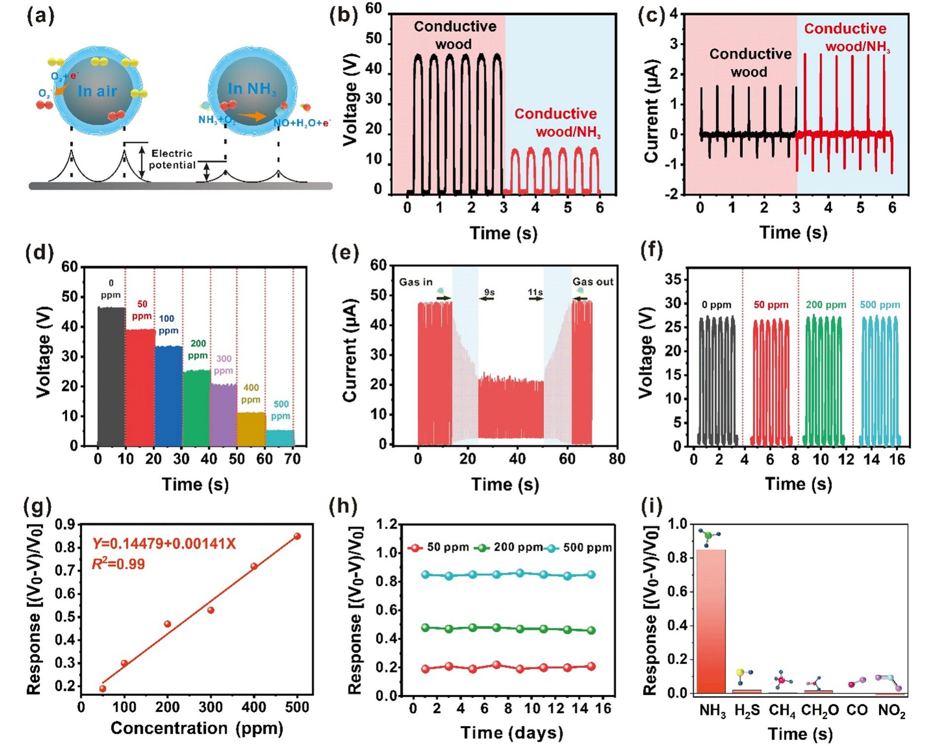 Schematic of the gas sensing mechanism of c-teng. (a)