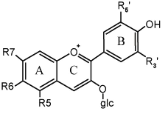 Oral polyphenolic compounds have a significant impact on the