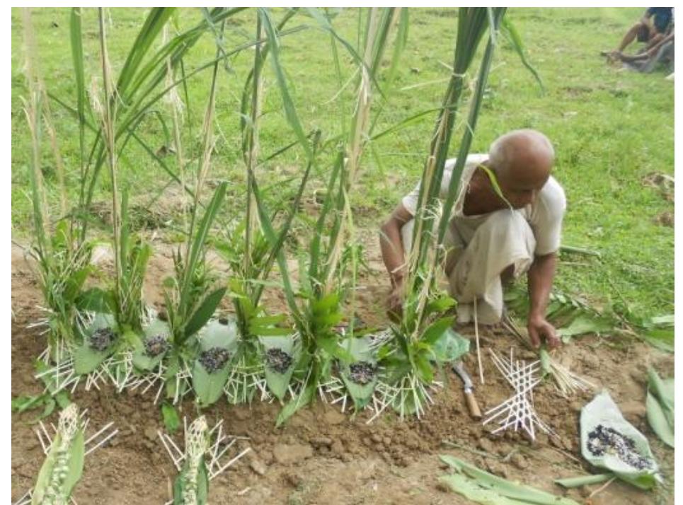 (PDF) APONG, AN ALCOHOLIC BEVERAGE OF CULTURAL SIGNIFICANCE OF THE ...