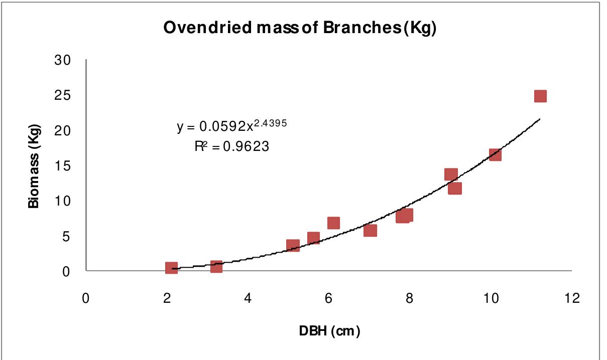 Leaf figure 8: allometric relationship between diameter at