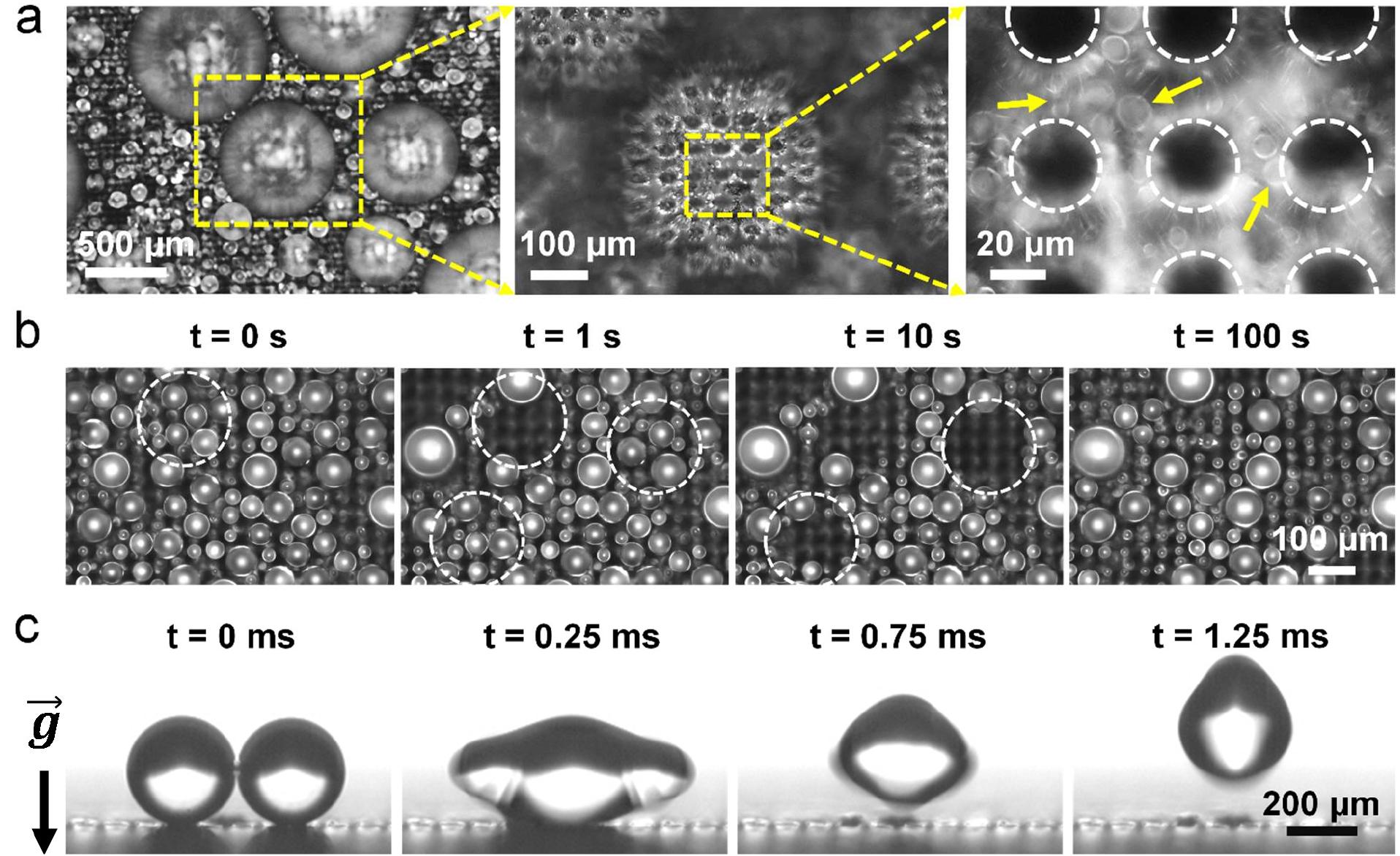 ‘igure 5. (a) top-view optical microscopy images of