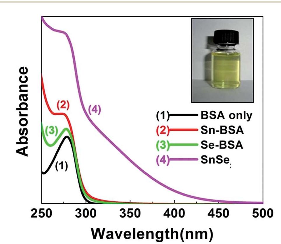 Uv-vis absorption spectra of tin selenide nanoparticles.