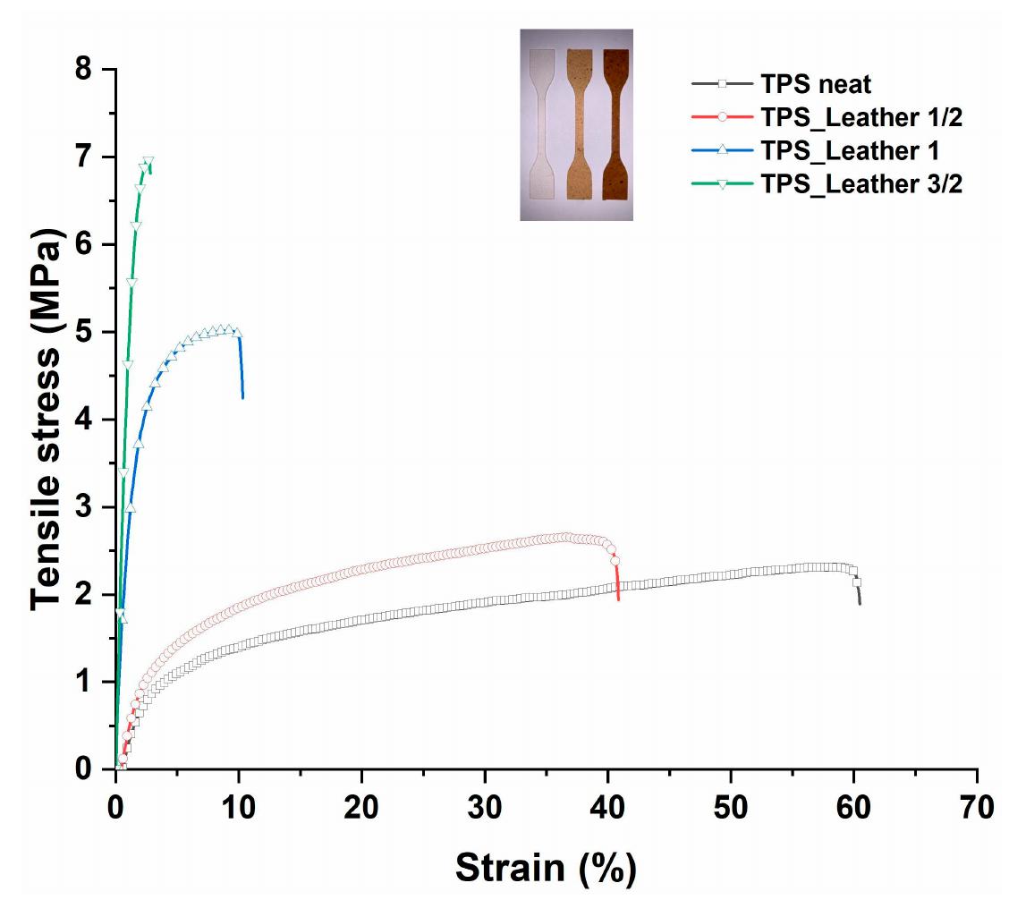 Typical tensile stress-strain curves.