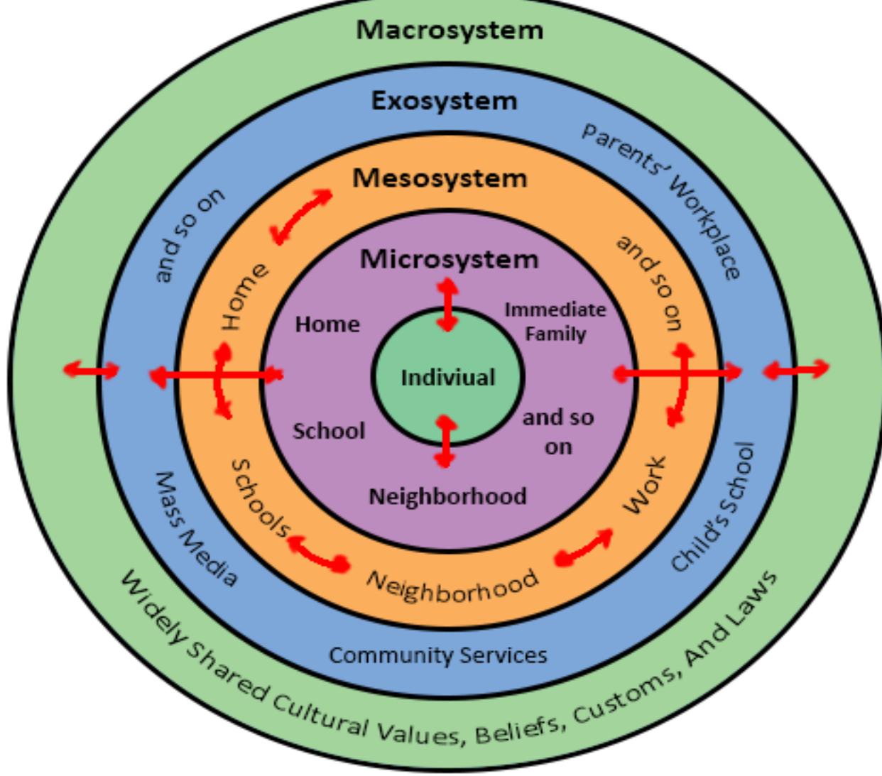 I. urie bronfenbrenner’s bioecological model