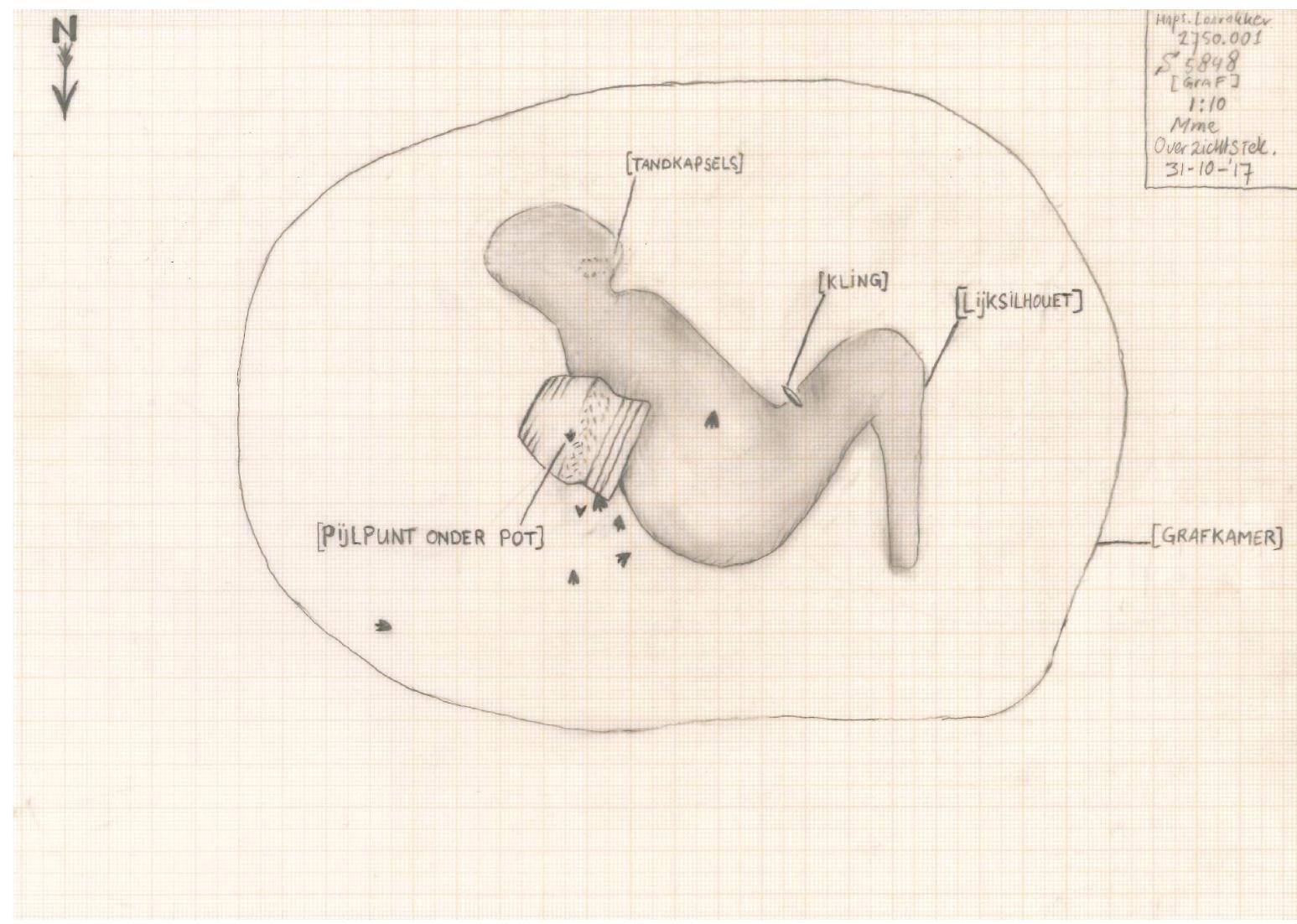 plan of the bell beaker burial discovered at