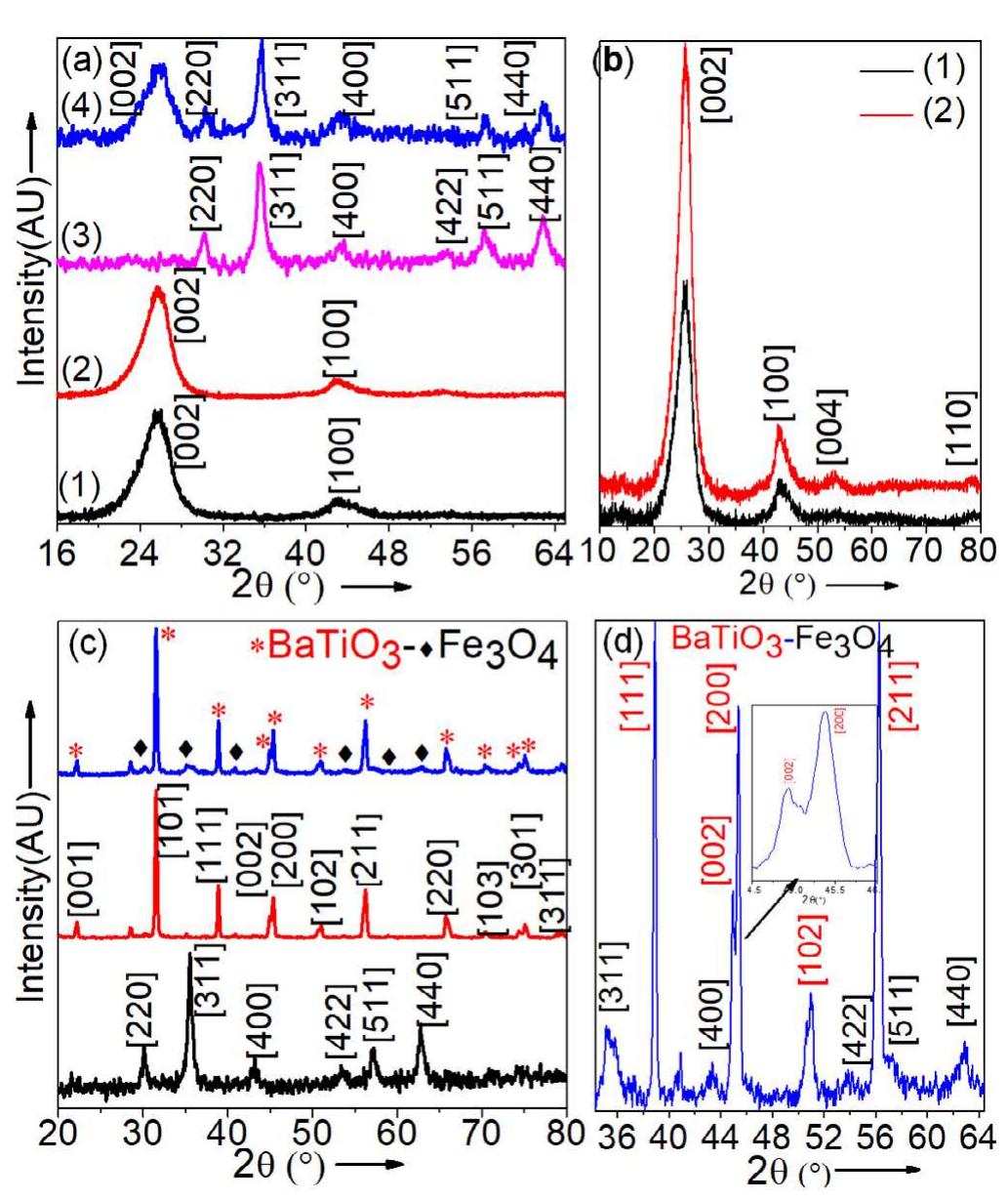 _ x-ray diffraction (xrd) patterns for (a) conducting and/or