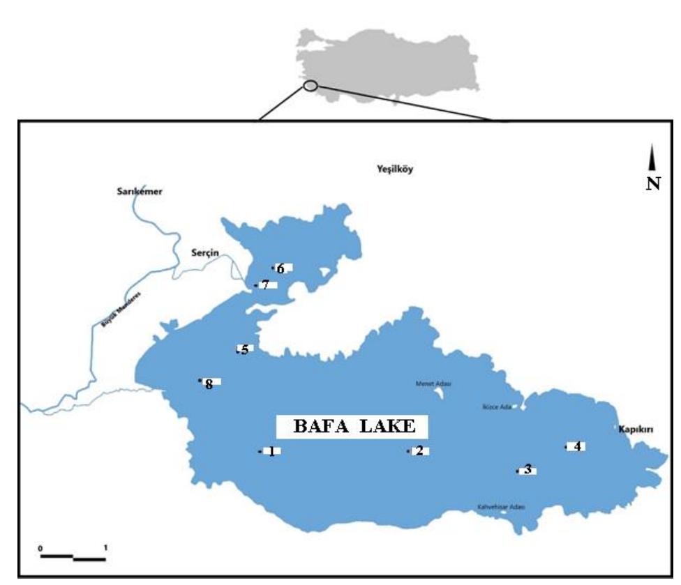 Sampling stations of lake bafa the sampling was monthly