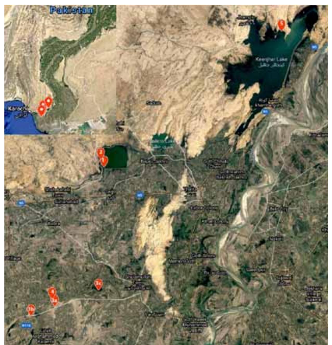 Location of survey sites: (1) haleji lake main; (2) haleji