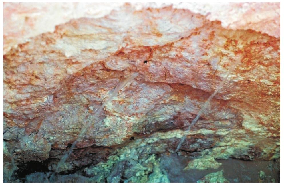 - canaliculi at balbina hydroelectric power plant dam