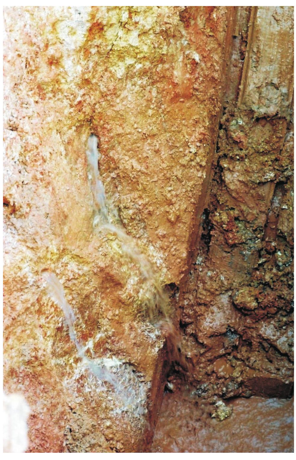 - canaliculi at balbina hydroelectric power plant dam