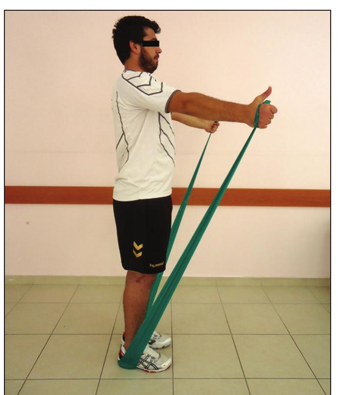 Shoulder elevation in the scapular plane (scapular