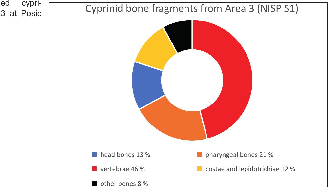 The other cyprinid bone identified as roach/ ide is a