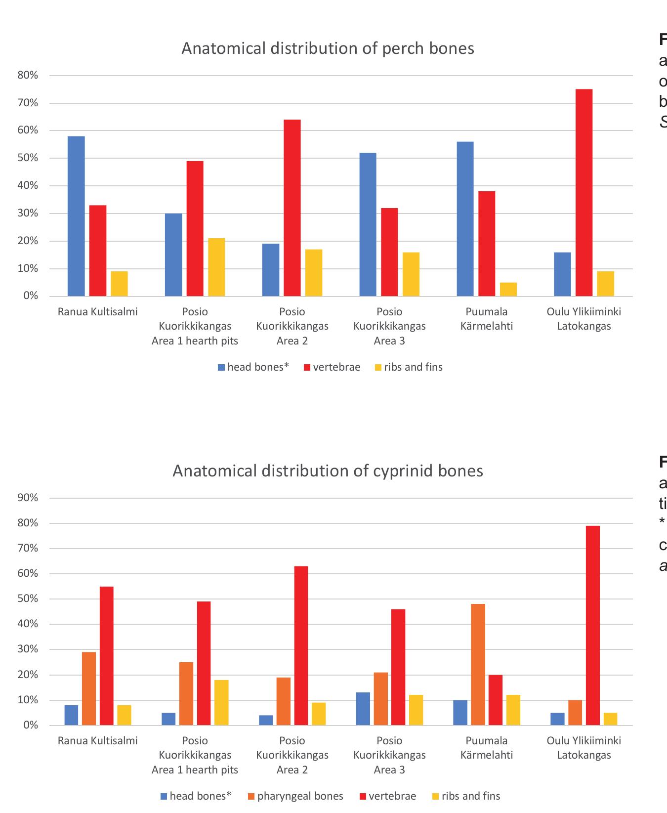 Summary, anatomical distribution of pike bones. * head
