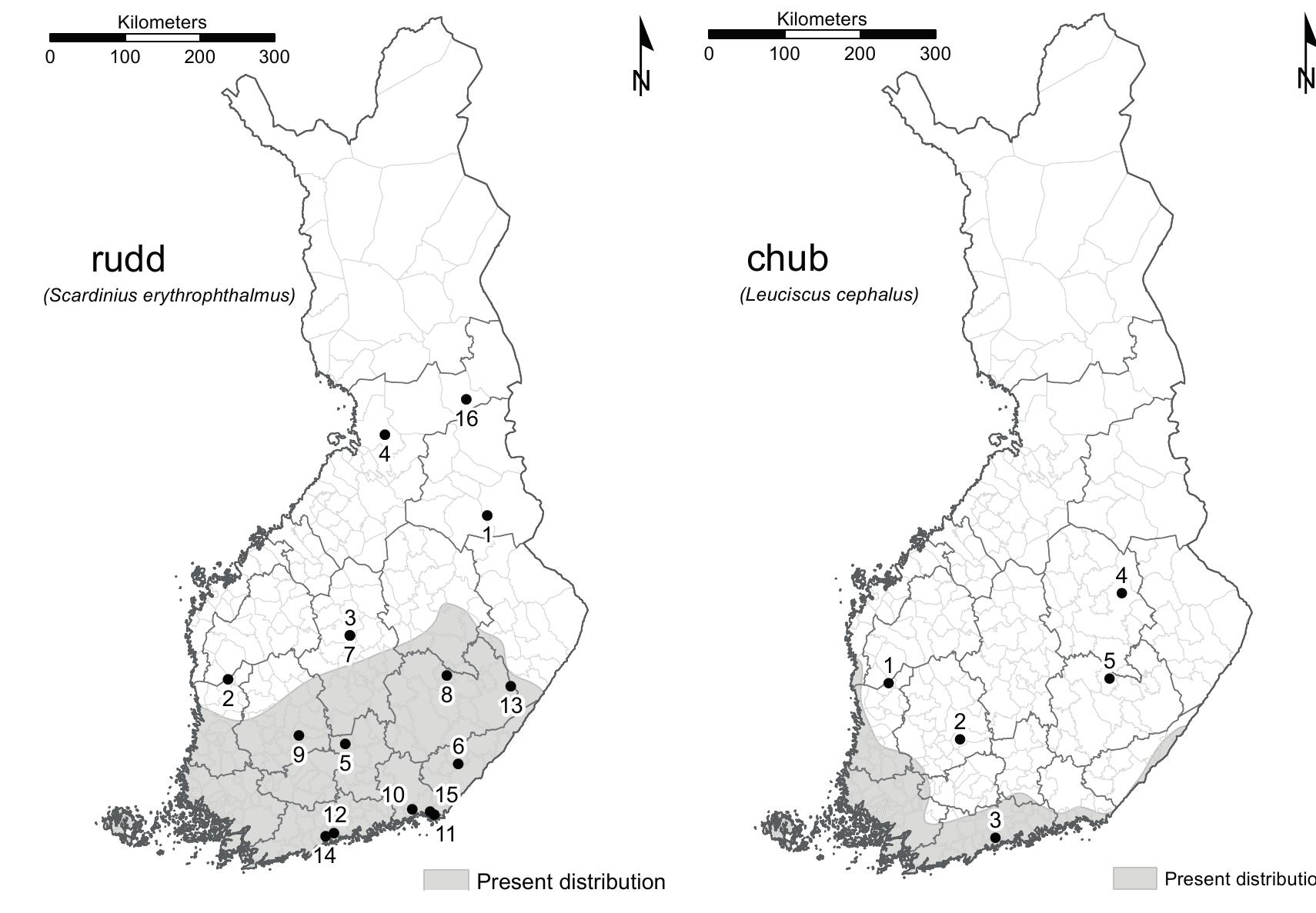 Stone age chub finds from finland. current distribution: