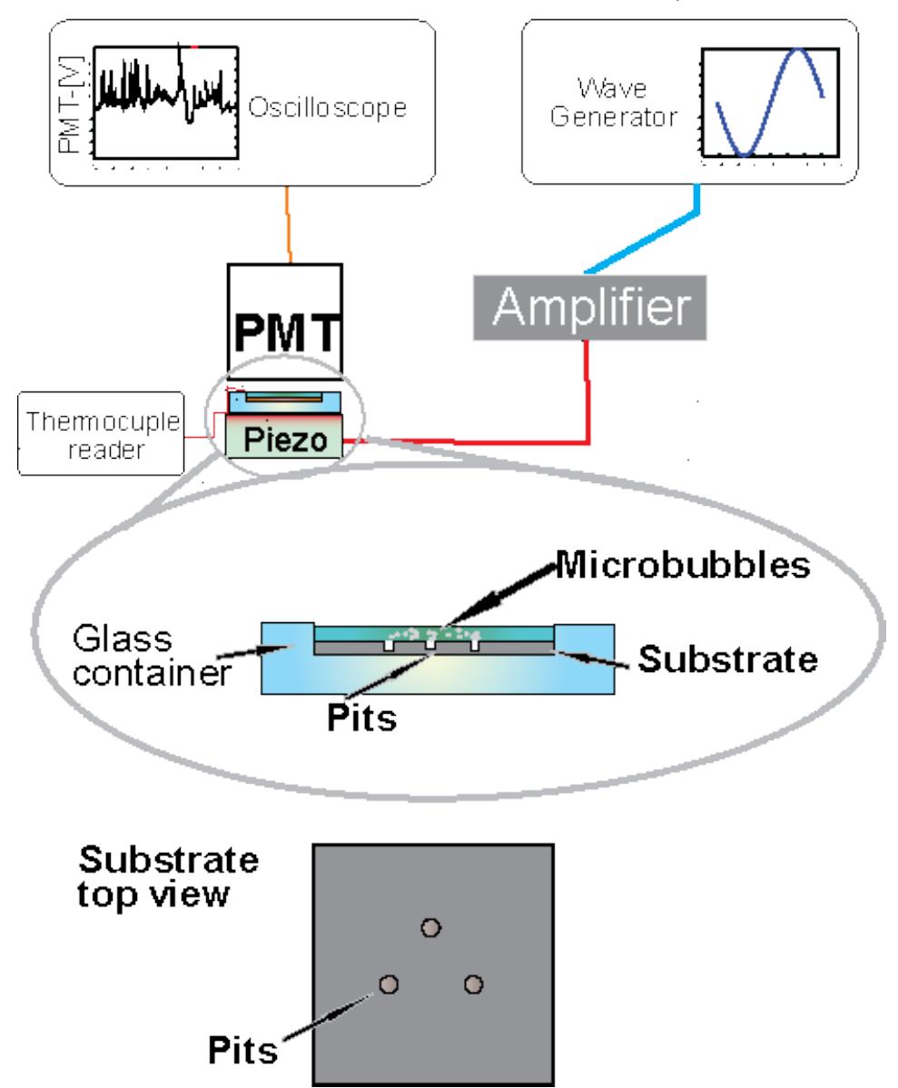 Experimental setup (not to scale) showing the different