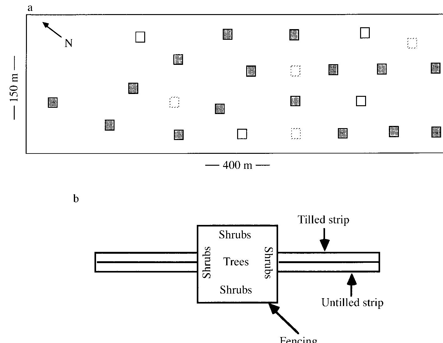Fic. 2. diagram of experimental plots (a) and one