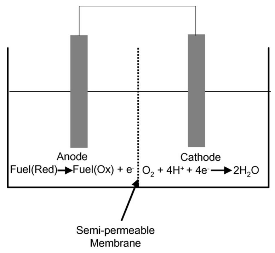 Schematic of a simple biofuel cell.