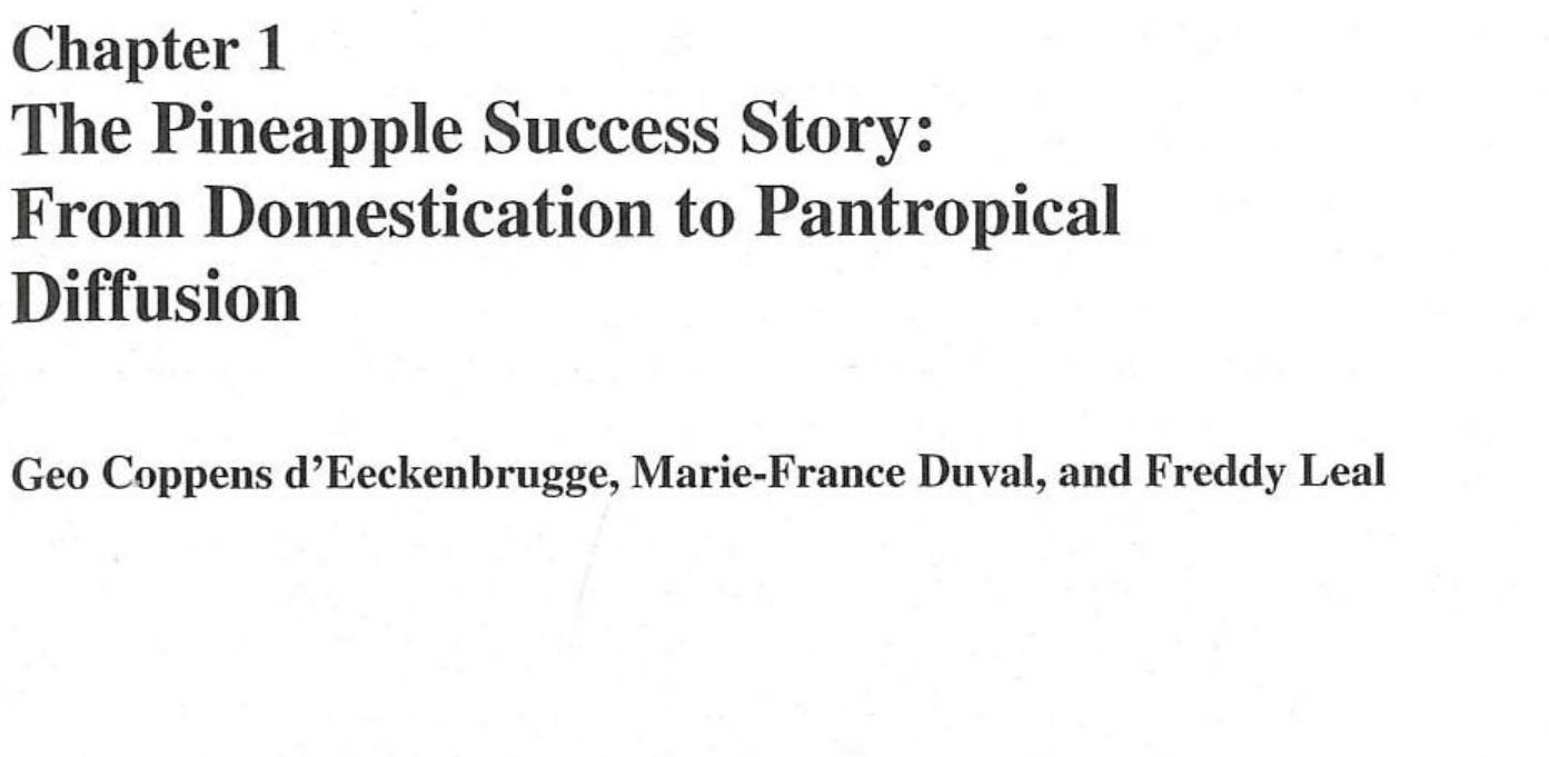 The “old world” discovered the impressive pineapple fruit