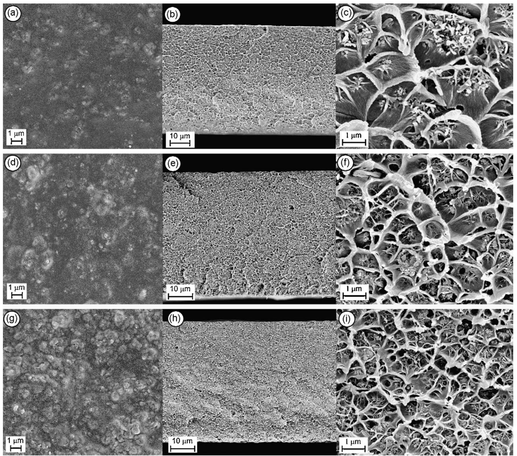 Sem images of the surface (a, d, and g), cross-section at