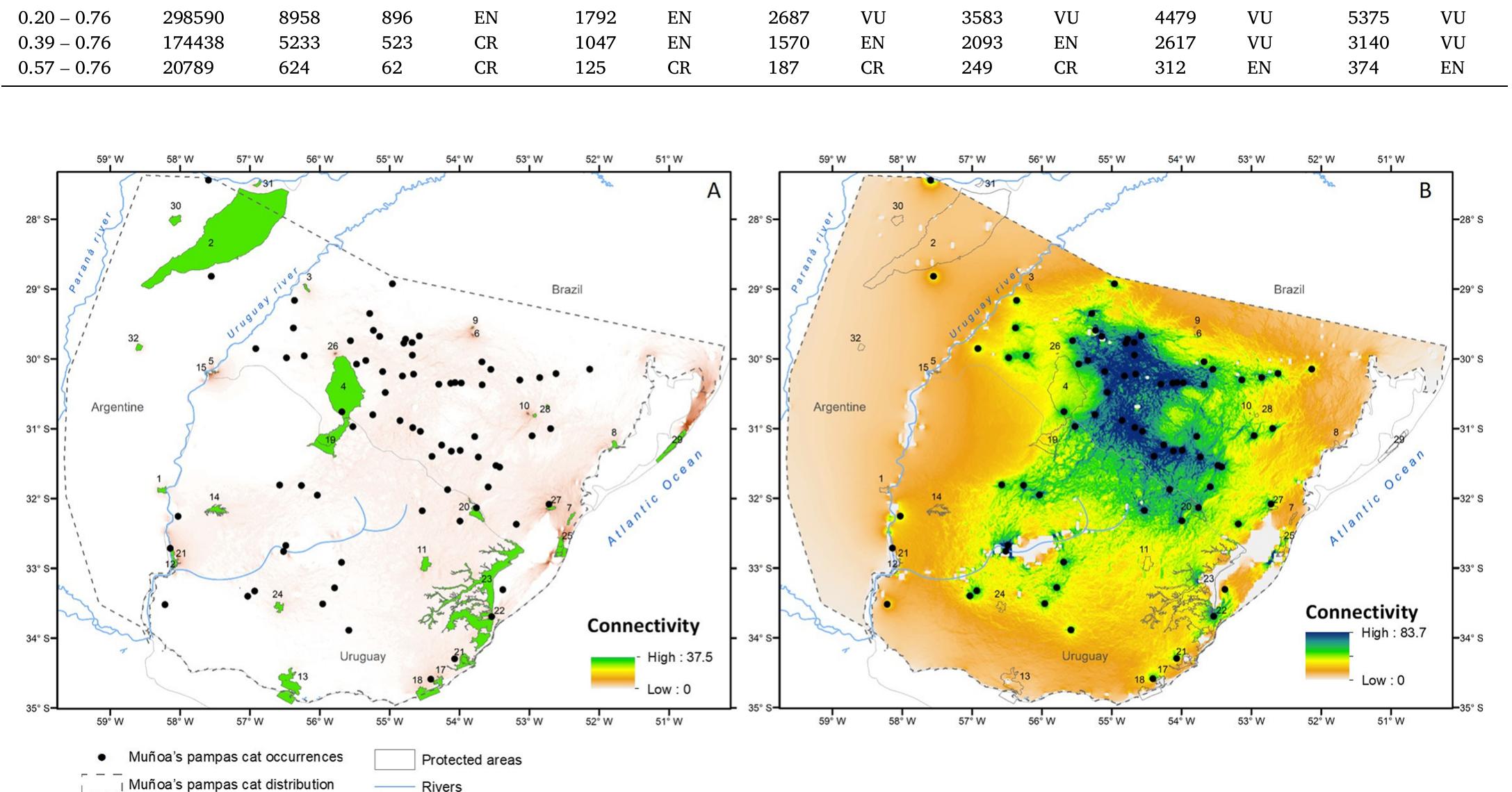 Maps of connectivity for the munoa’s pampas cat. a)