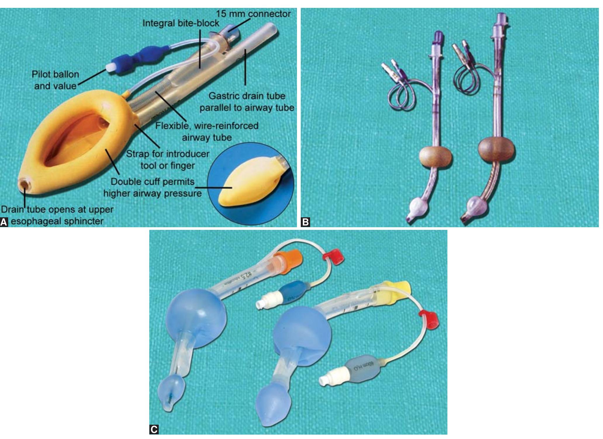 Figure 3 - from Evolution of Airway Devices