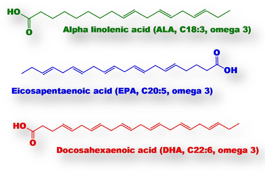 (1). molecular structures of omega-3 fatty acids. [6]. dha