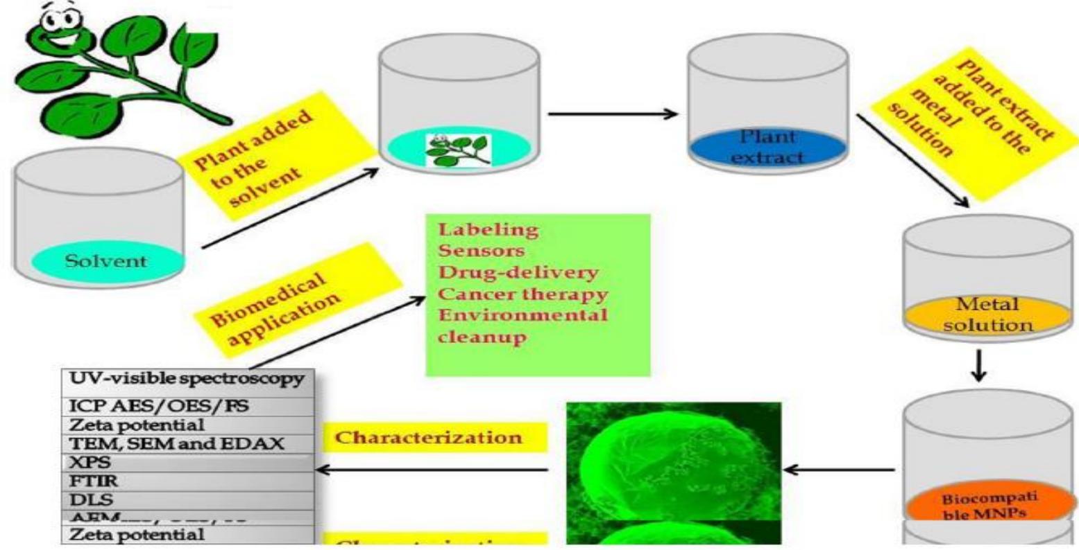 Schematic representation of plant as a source of green