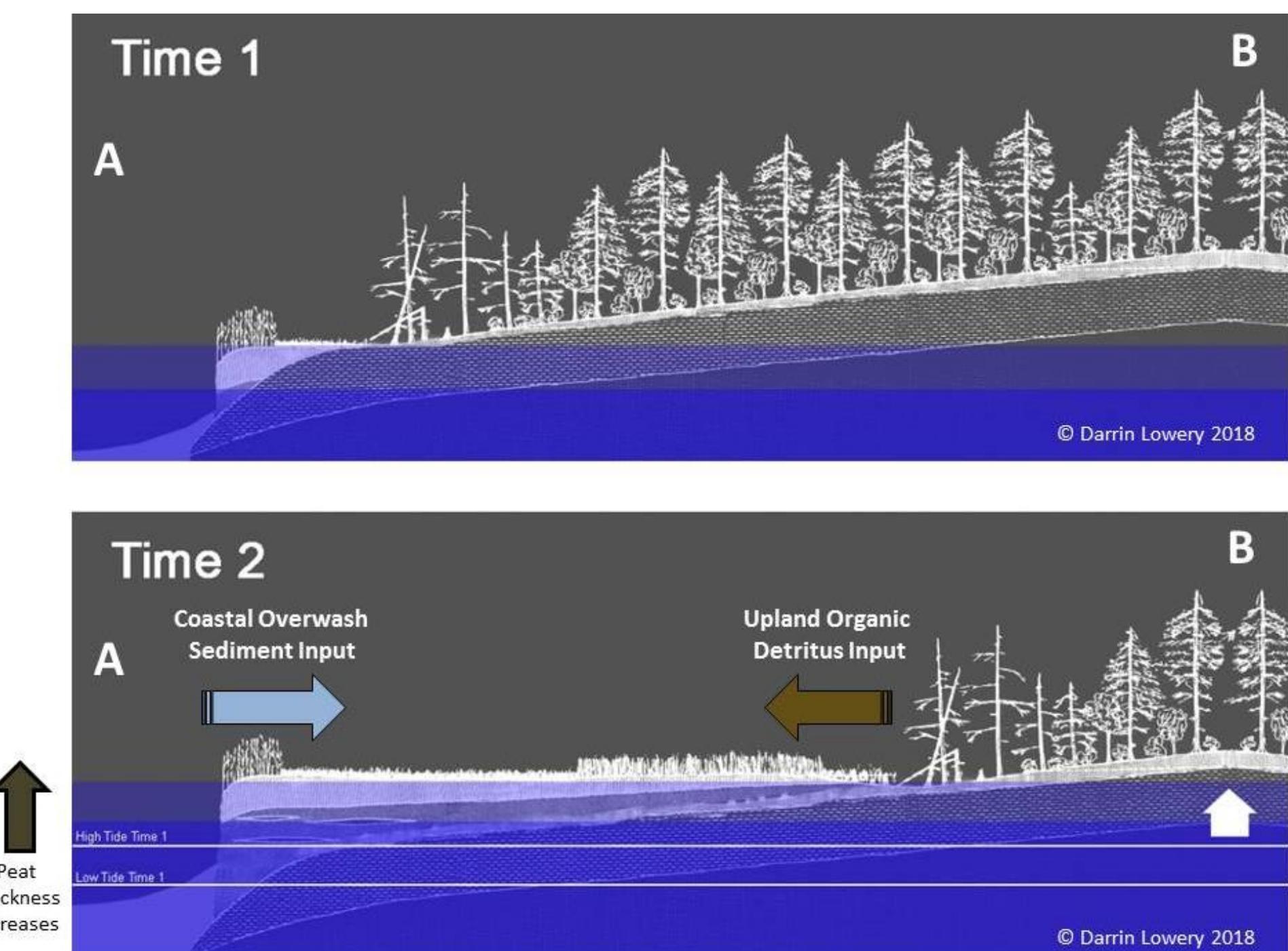 Figure 16 - Recent Coastal Erosion and Late Holocene Sea