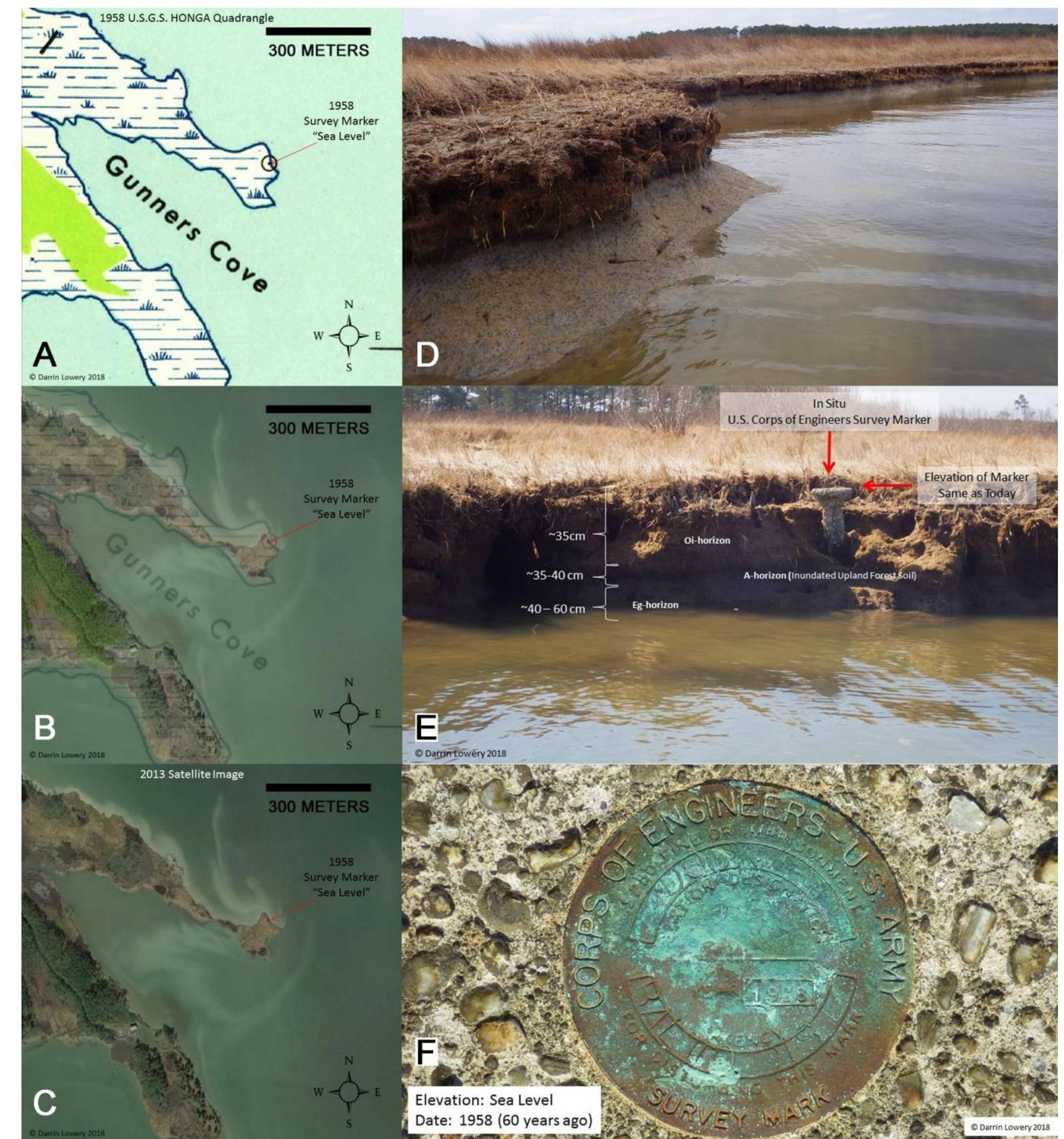 14. the series of images illustrate a sea level index point
