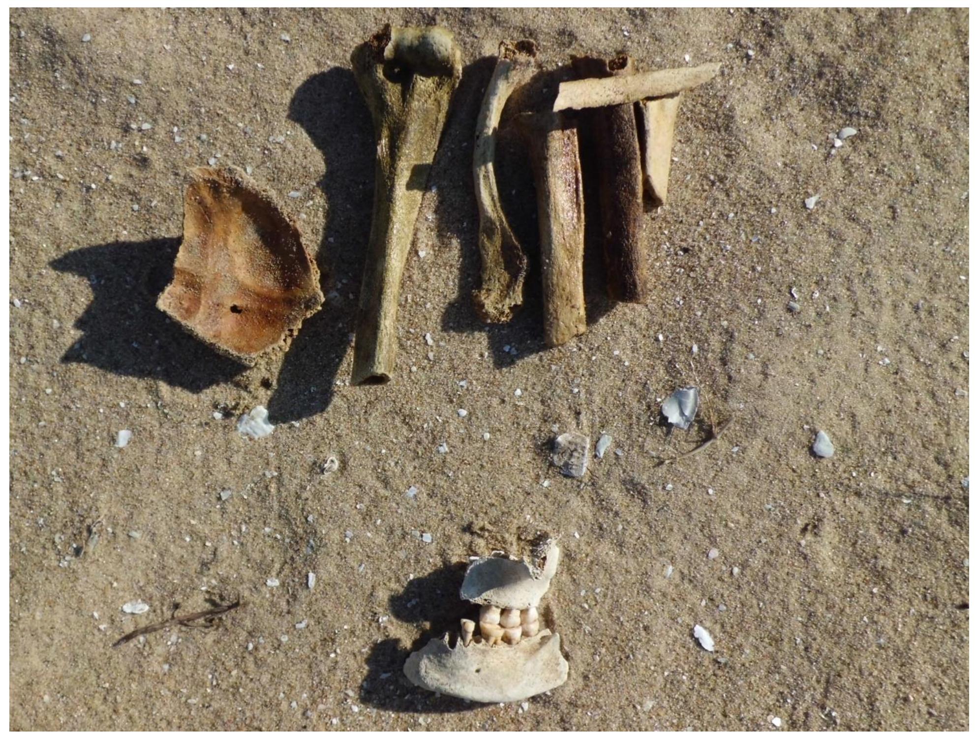 Figure 35 - Recent Coastal Erosion and Late Holocene Sea