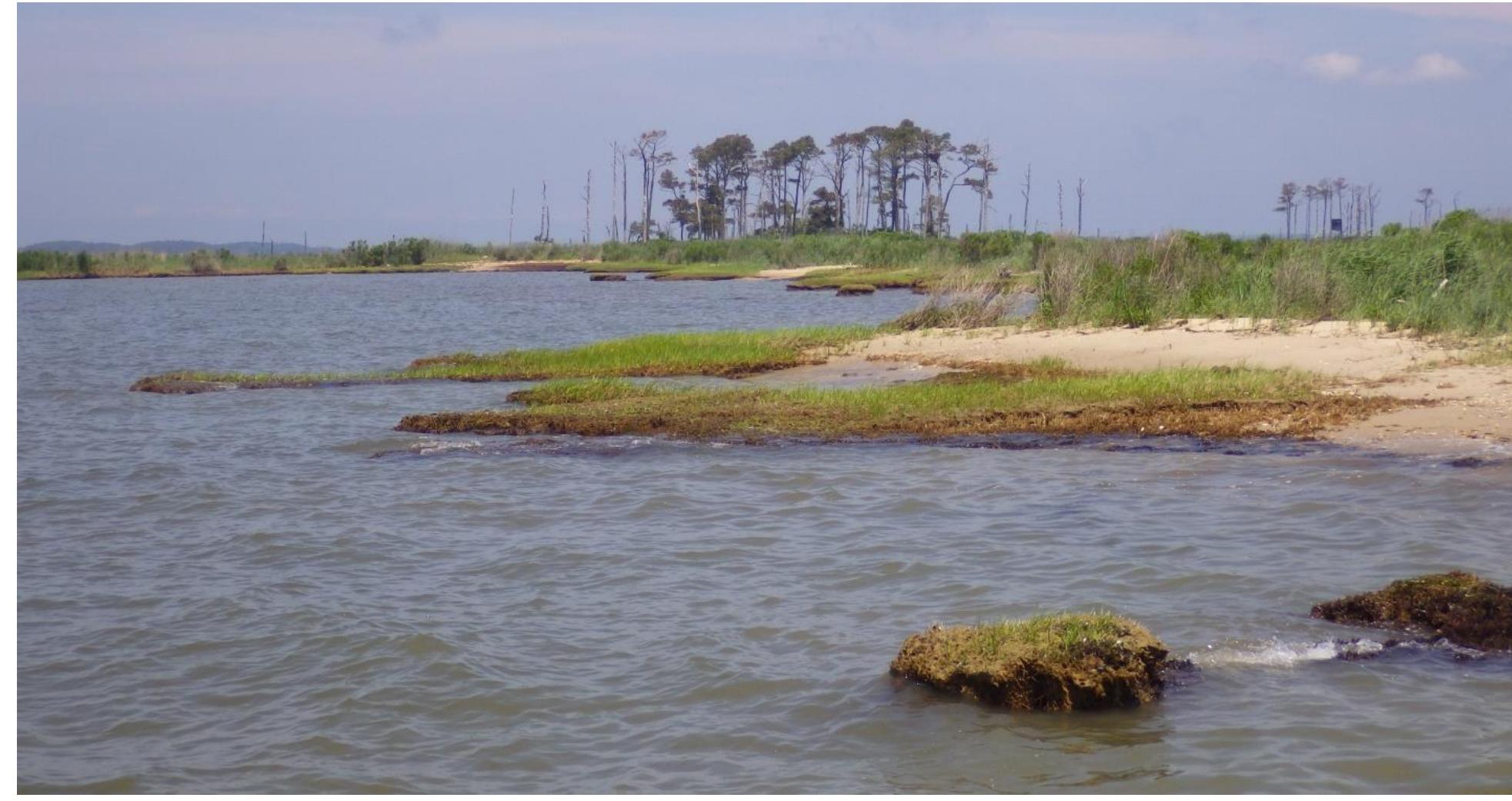 Figure 53 - Recent Coastal Erosion and Late Holocene Sea