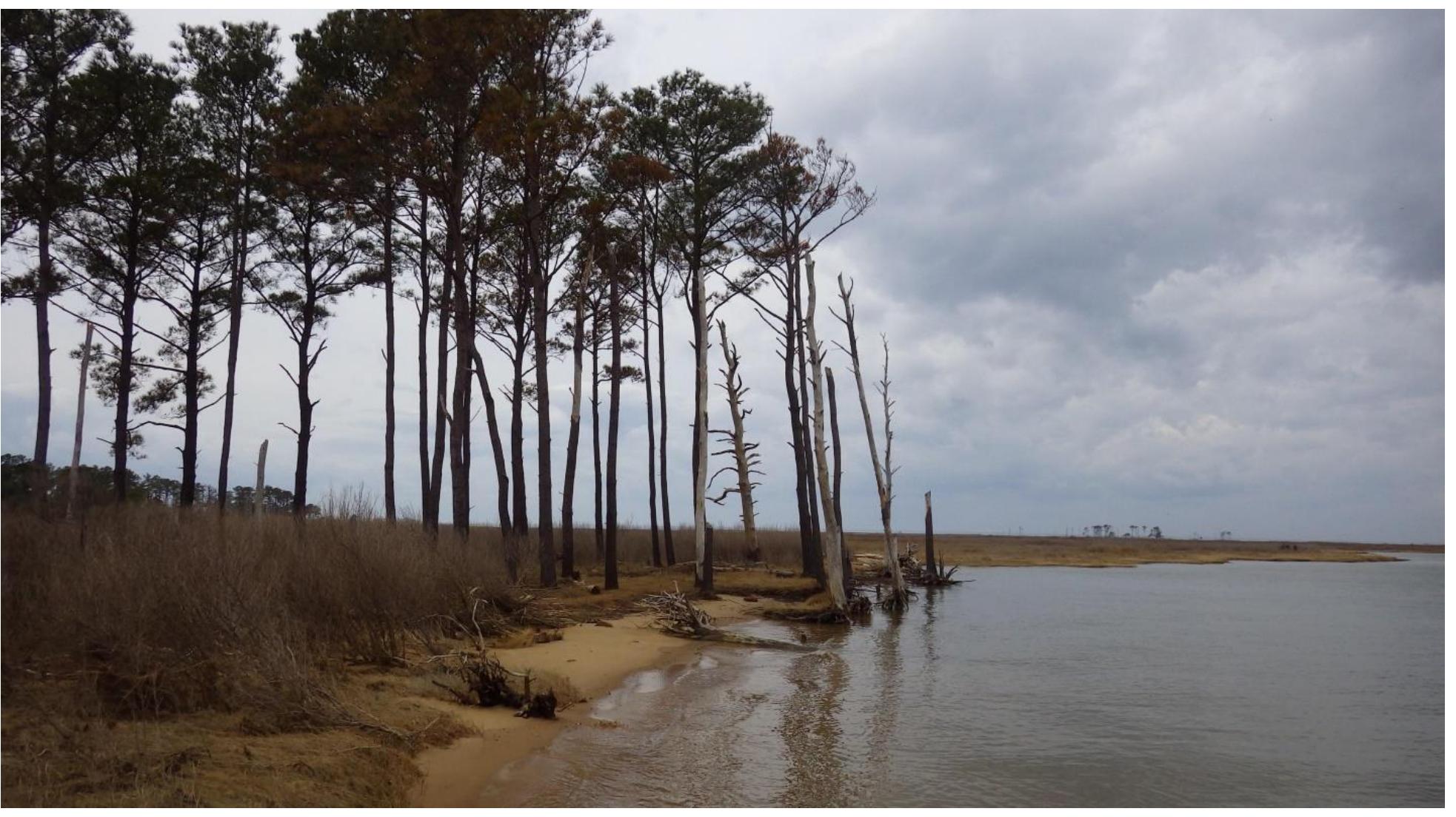 Figure 65 - Recent Coastal Erosion and Late Holocene Sea