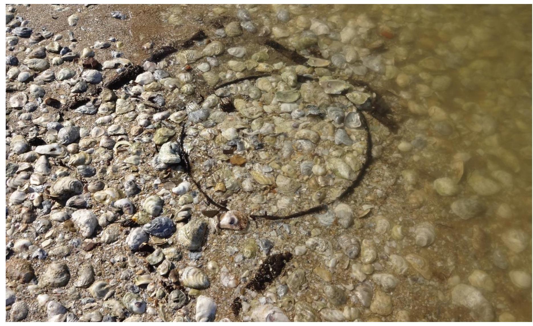 Figure 101 - Recent Coastal Erosion and Late Holocene Sea