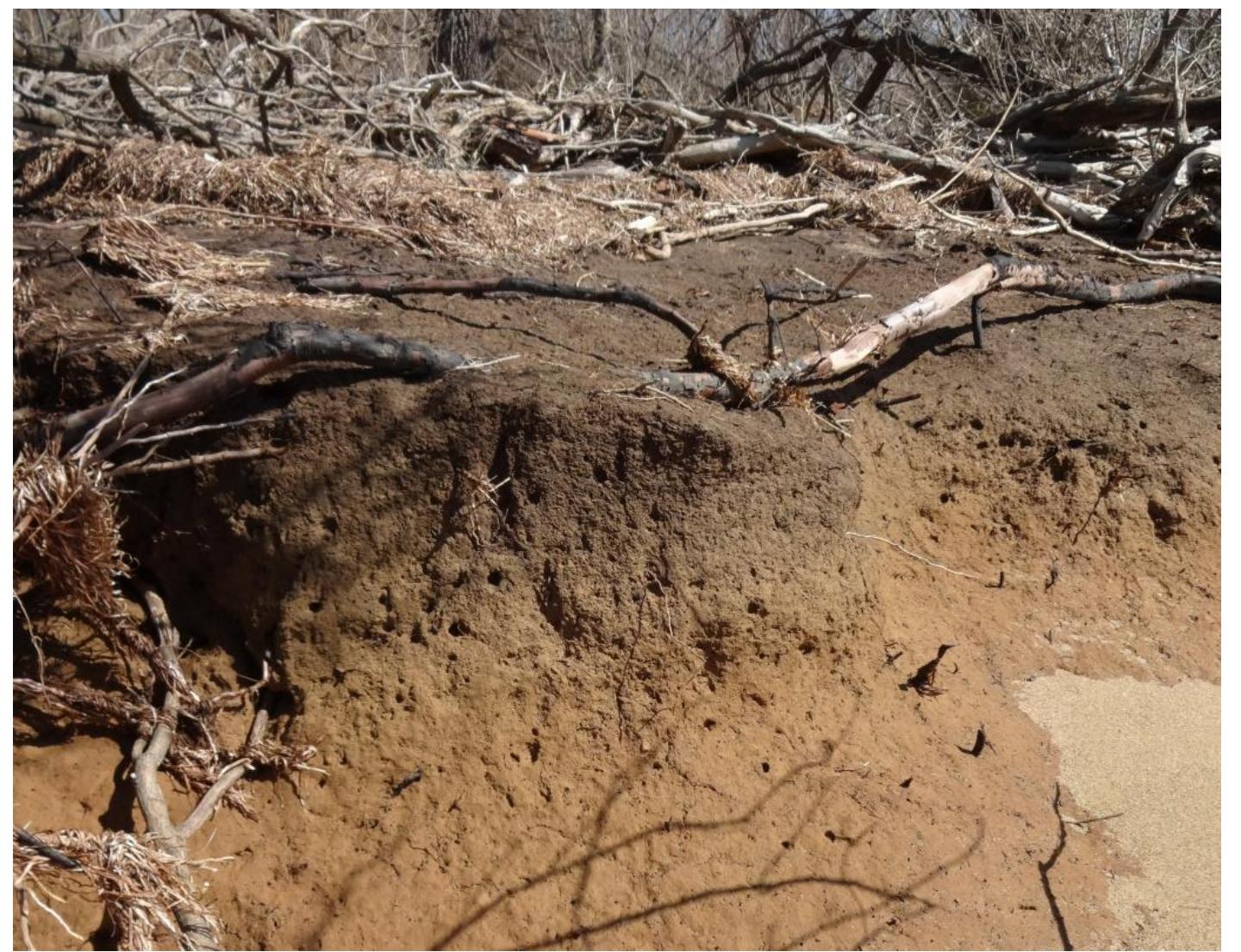 Figure 127 - Recent Coastal Erosion and Late Holocene Sea