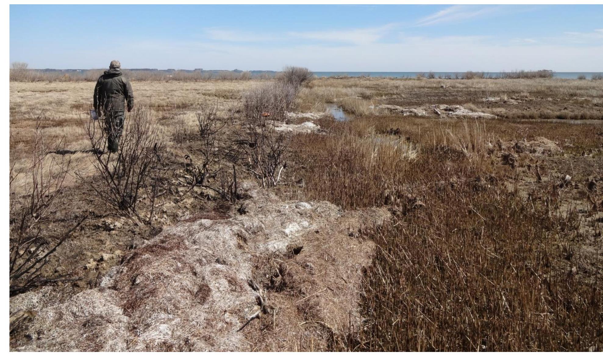 Figure 128 - Recent Coastal Erosion and Late Holocene Sea