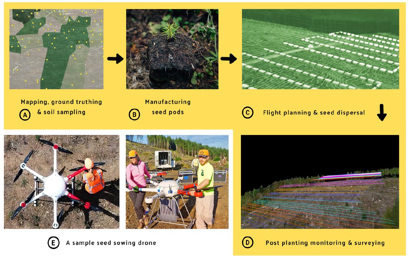 Figure 1 - from UAV-Supported Forest Regeneration: Current