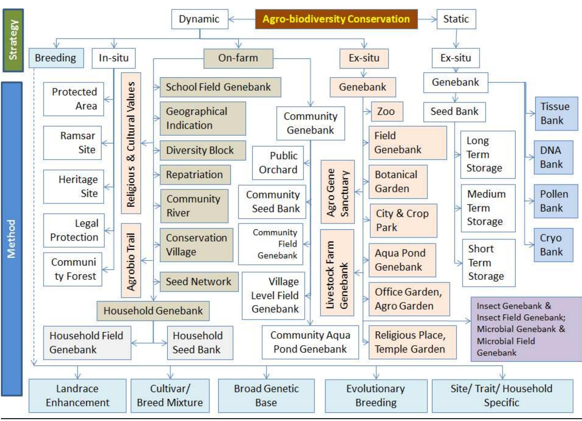 Four agrobiodiversity conservation strategies and 44 methods