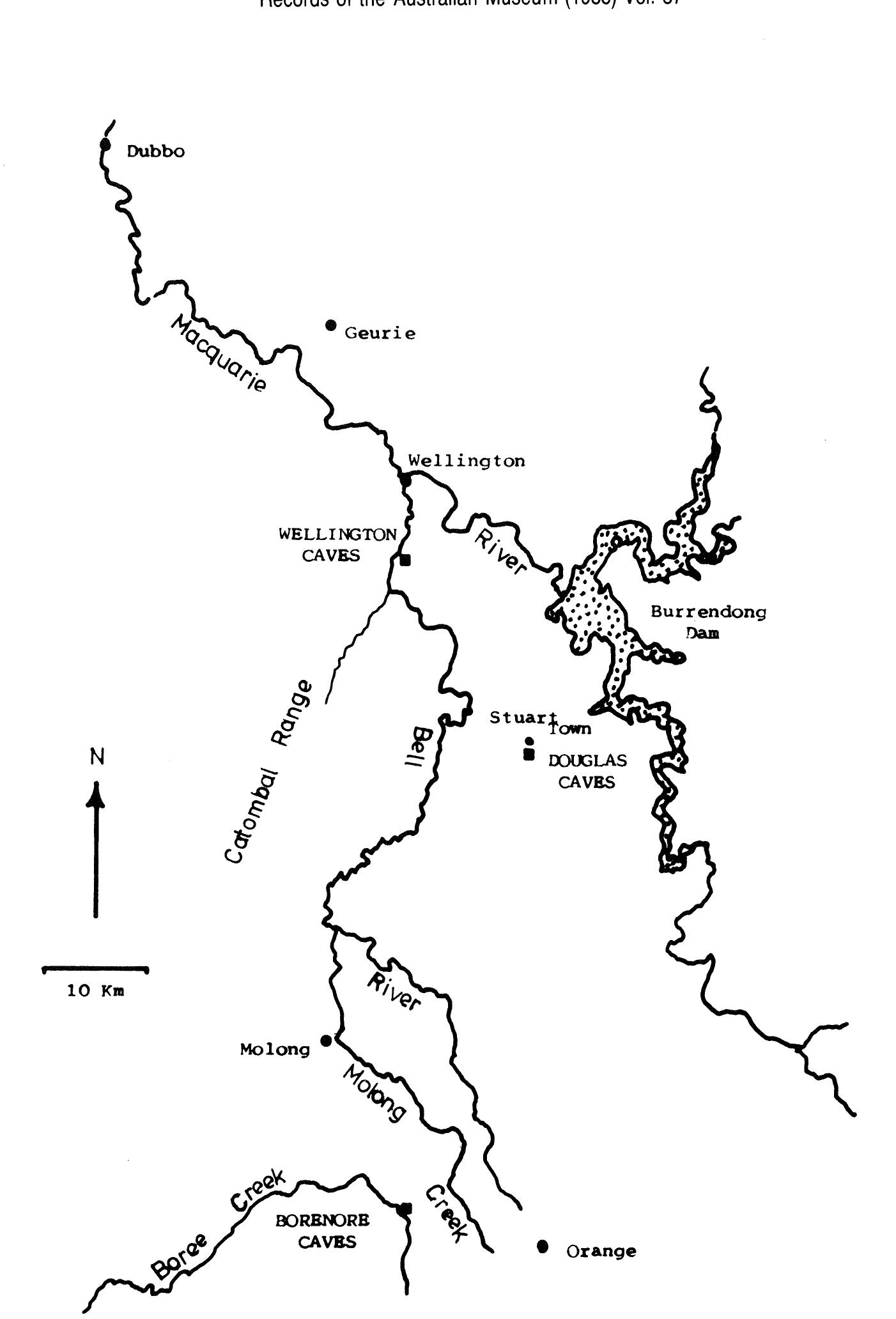 (PDF) Marsupial fossils from Wellington Caves, New South Wales; the ...