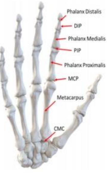 Figure 1 - Robotic Hands a Base for Prosthetics - A Review