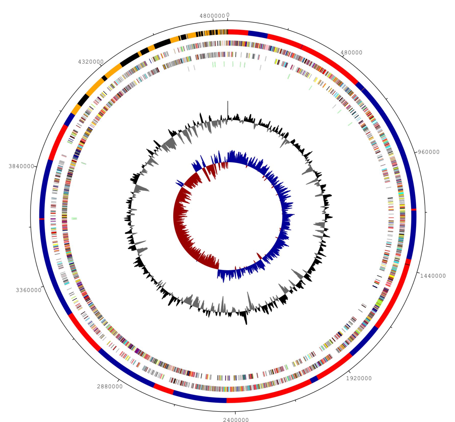 Graphical map of the genome. from outside to the center: