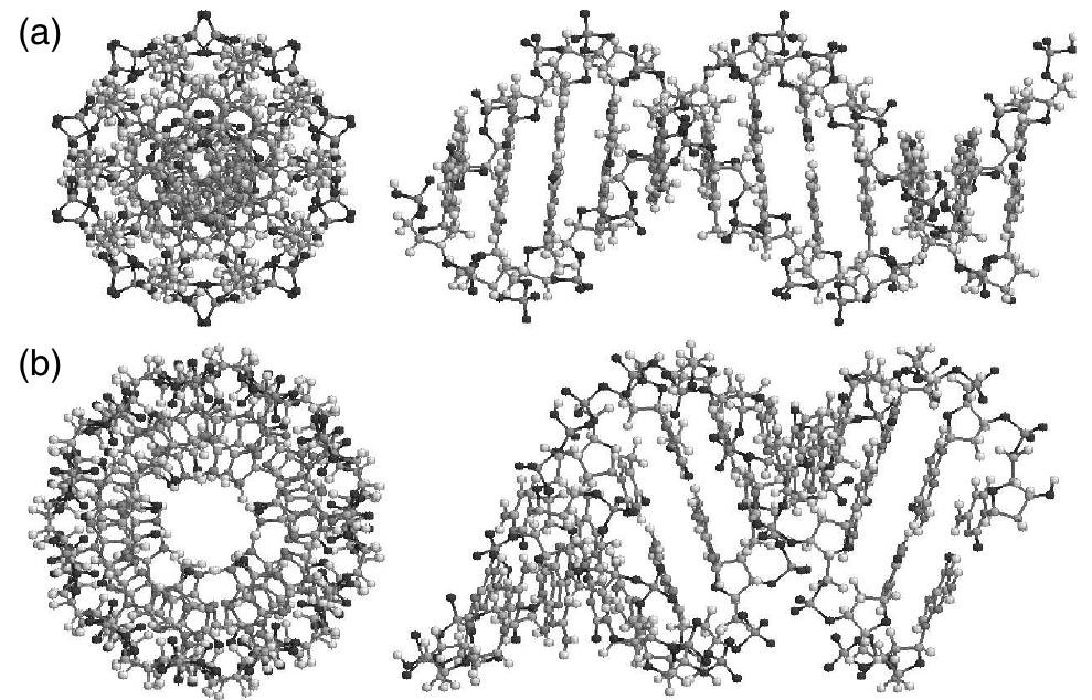 Top and side views of (a) b-dna and (b) a-dna. another form