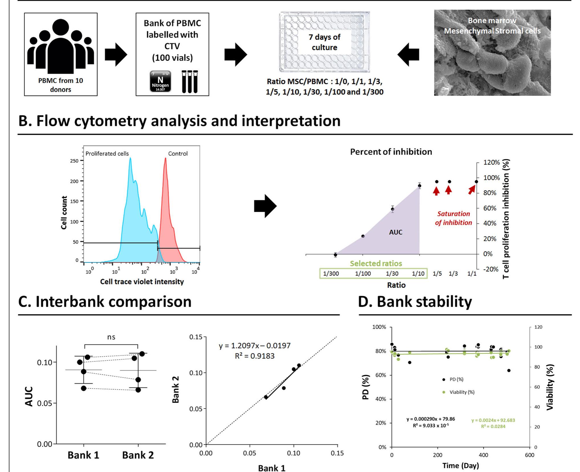 Schematic description of mlr assay: pbmc and msc co-culture,