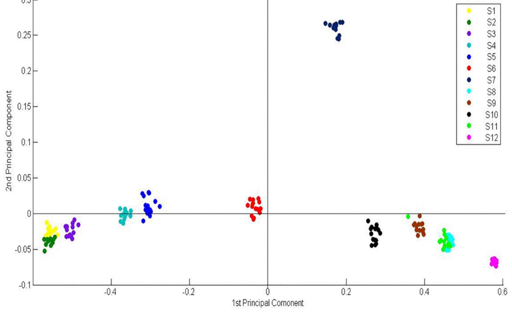 Pca scatter plot of raman spectra of all the samples of