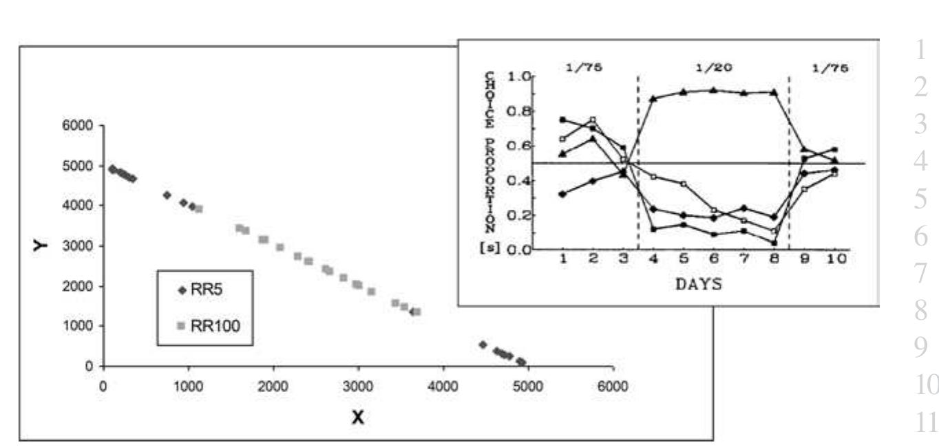 The pattern of choice between identical schedules as a